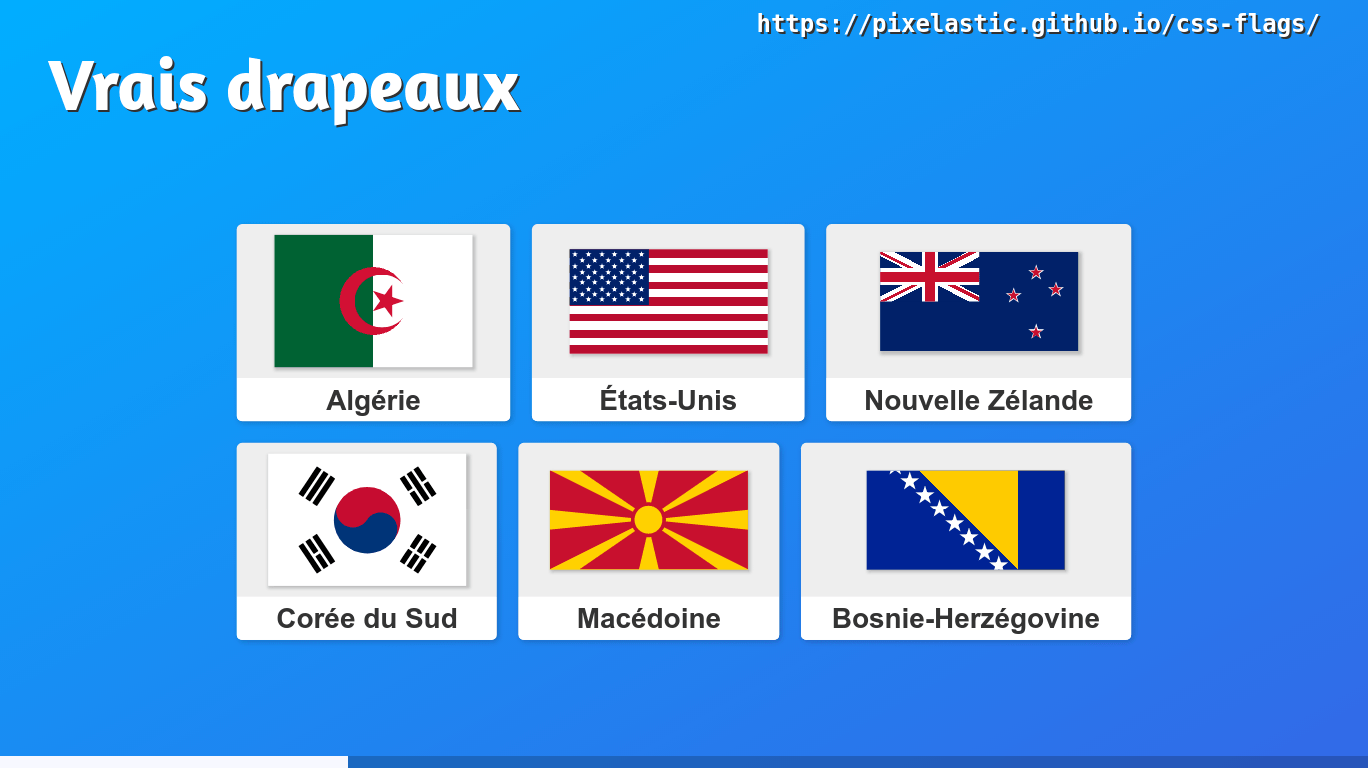 Compagnonnage, CSS et Vexillologie